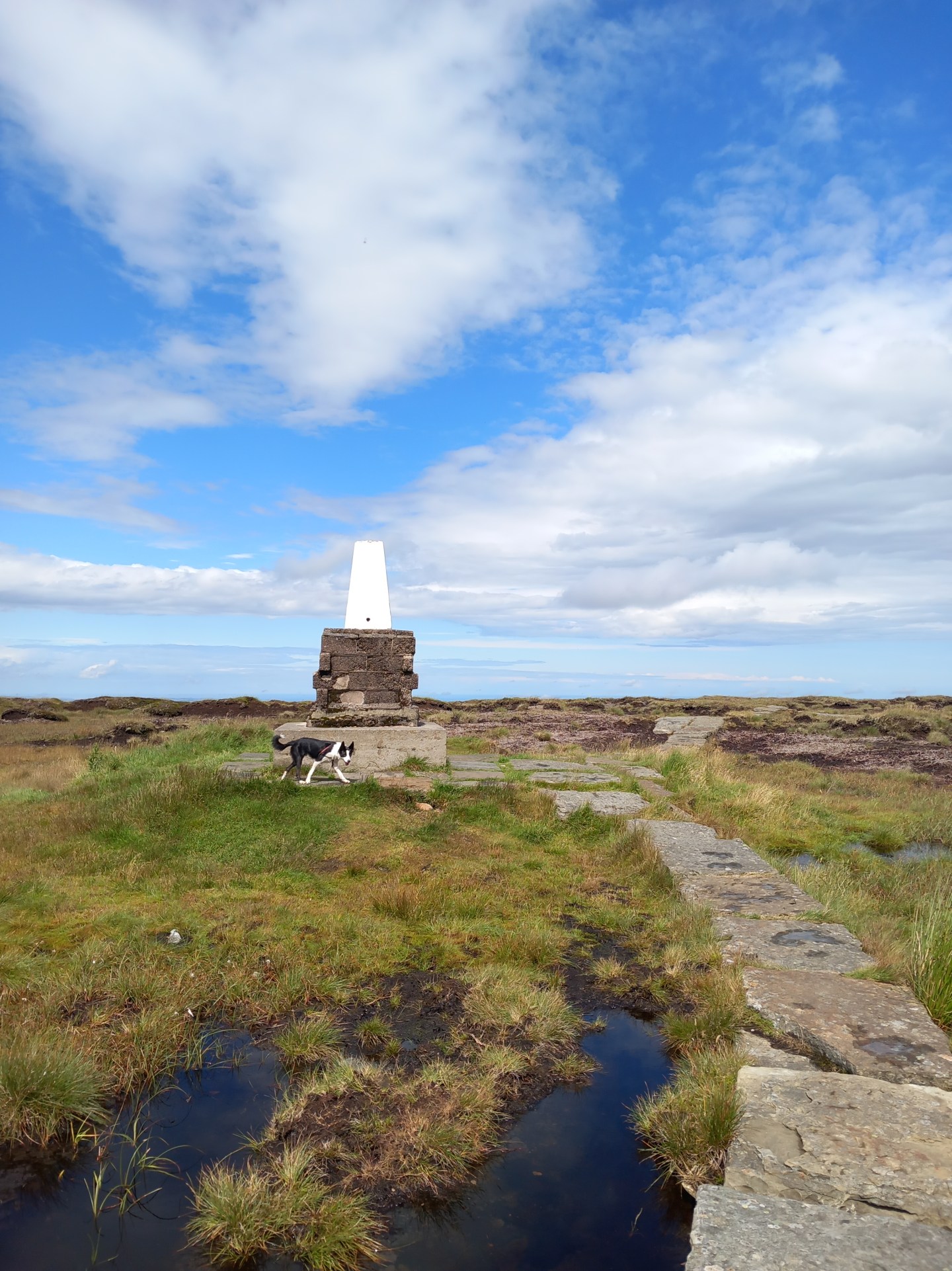 The Cheviot – more than just a big hill – Wild Mile Adventure